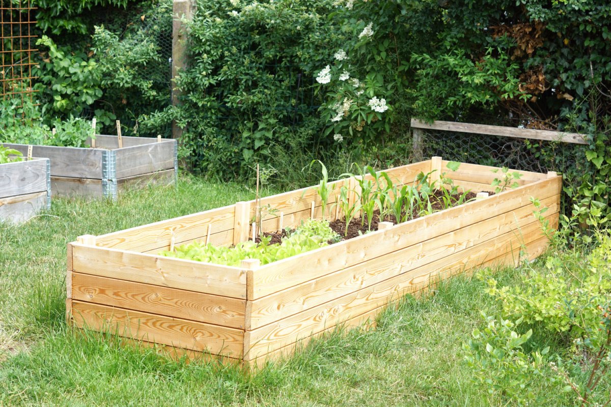 Hvilken jord skal bruges til højbede?