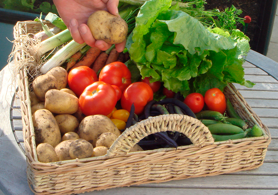 Do you need a better harvest next year?